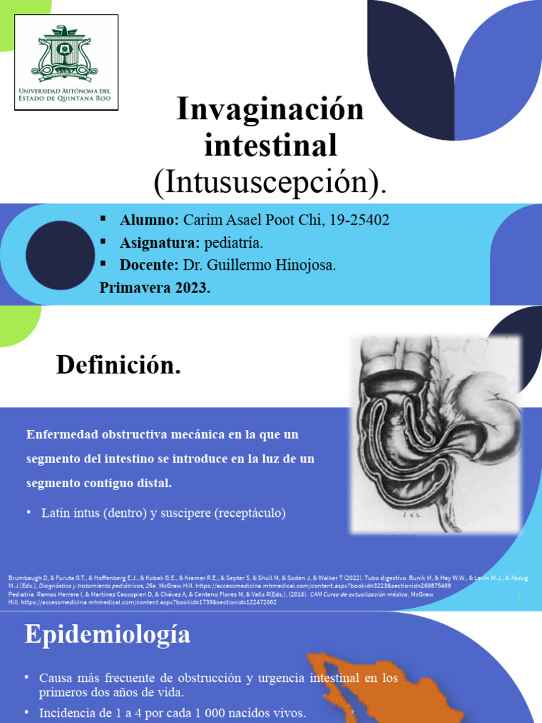 Invaginación Intestinal | PDF | Tracto gastrointestinal | Abdomen