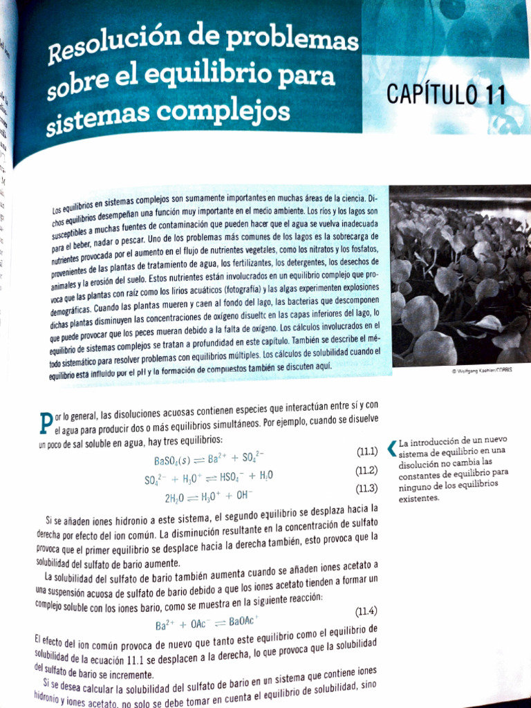 Equilibrio de Complejos | PDF | Equilibrio químico | Ecuaciones