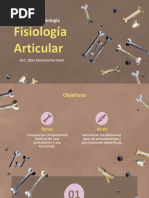 Limbo | PDF | Hoja | Botánica