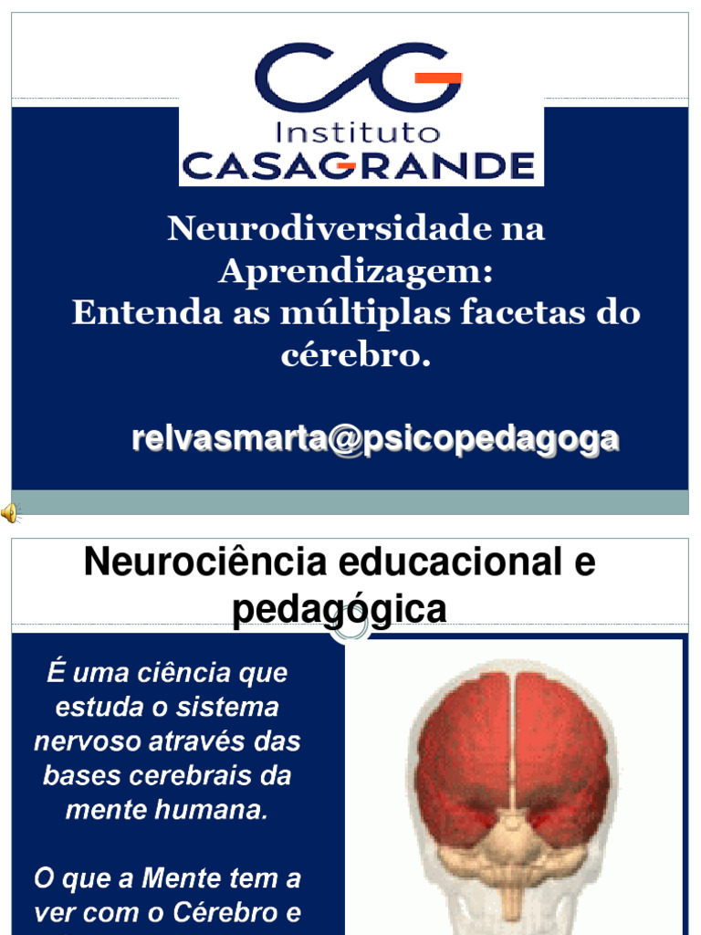 Marta Relvas - Slides Palestra Pós-05-02-2024 | PDF | Aprendizado | Cérebro