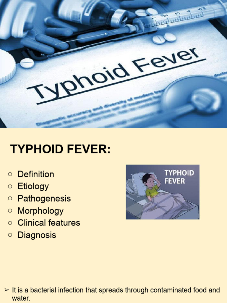 Typhoid Fever: Causes, Symptoms, Diagnosis | PDF | Lymphatic System ...