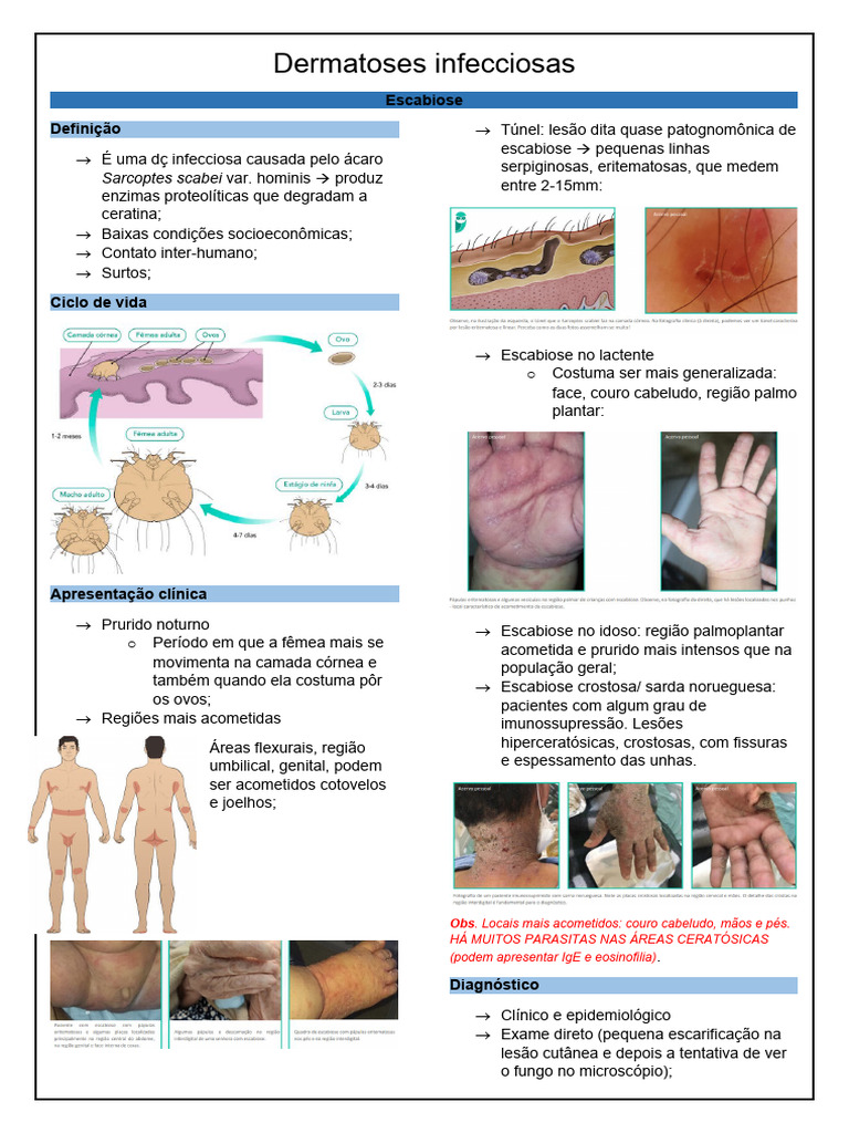 Dermatoses Infecciosas e Tratamentos | PDF | Especialidades médicas ...