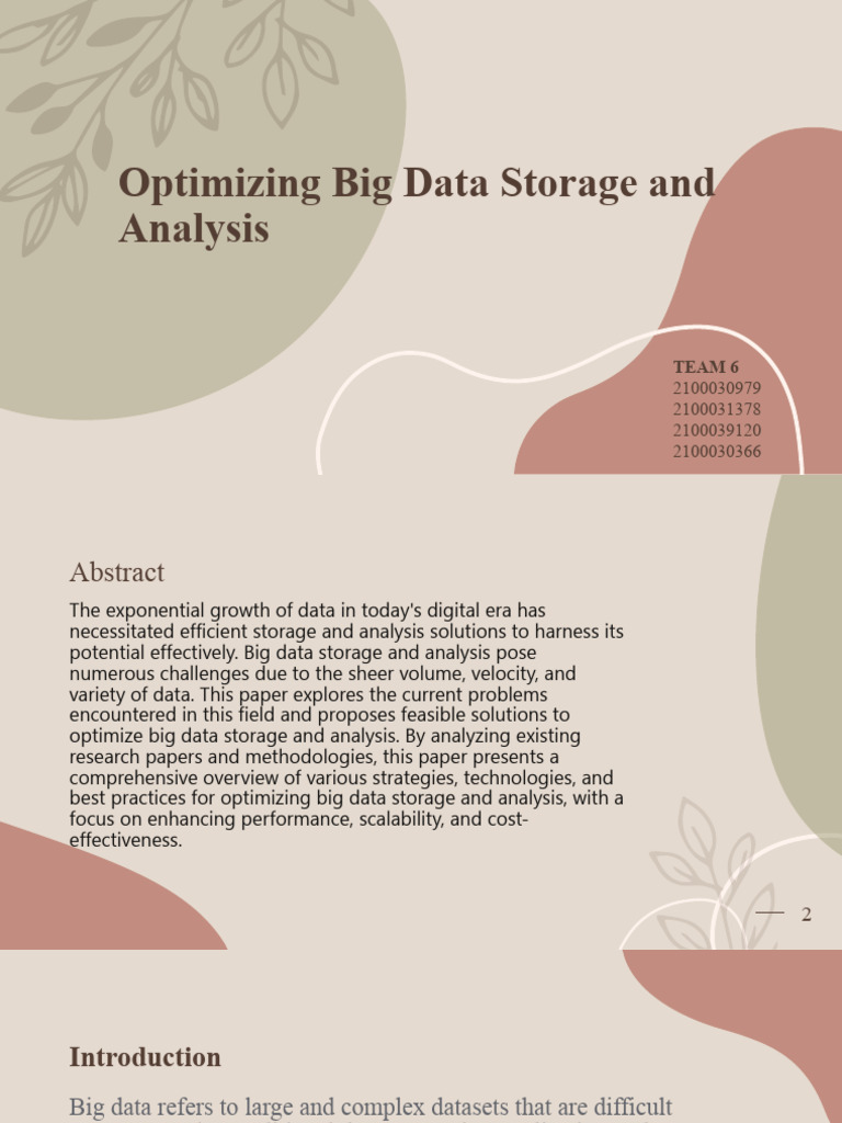 Optimizing Big Data Storage and Analysis | PDF | Big Data | Data