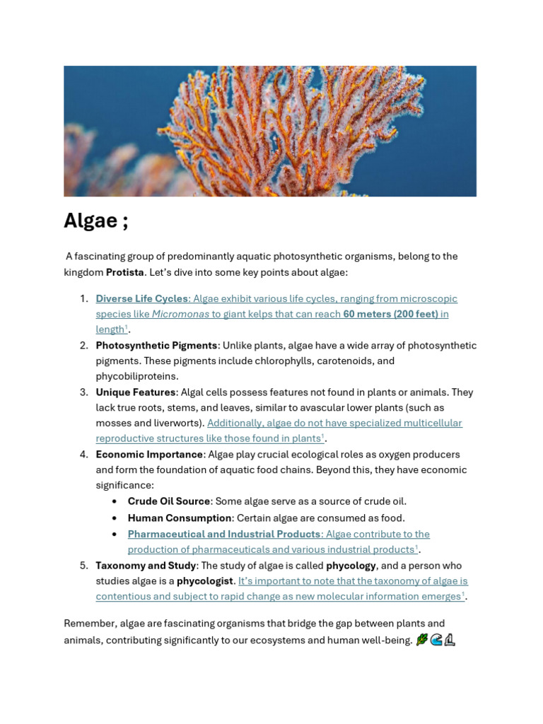 Algae Pdf Sexual Reproduction Spore