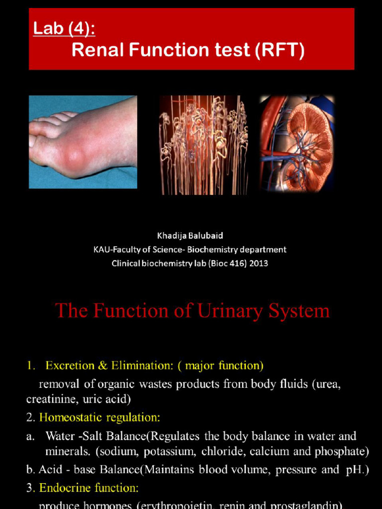 RFTs Lecture 8 | PDF