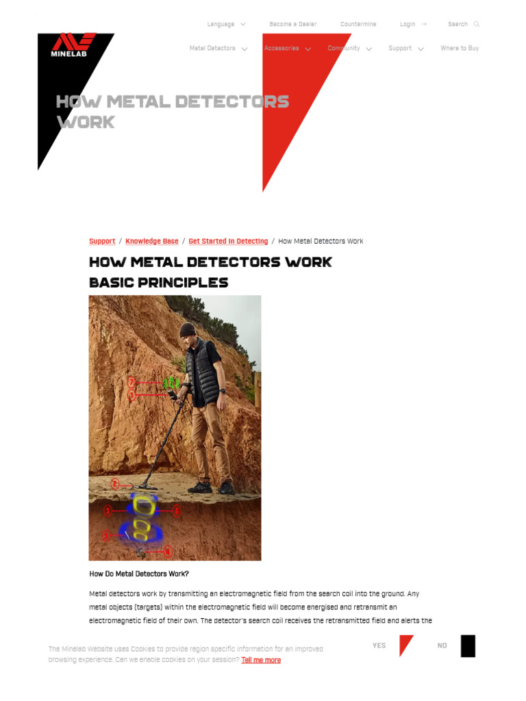 How Metal Detectors Work - Knowledge Base - Minelab Metal Detectors ...
