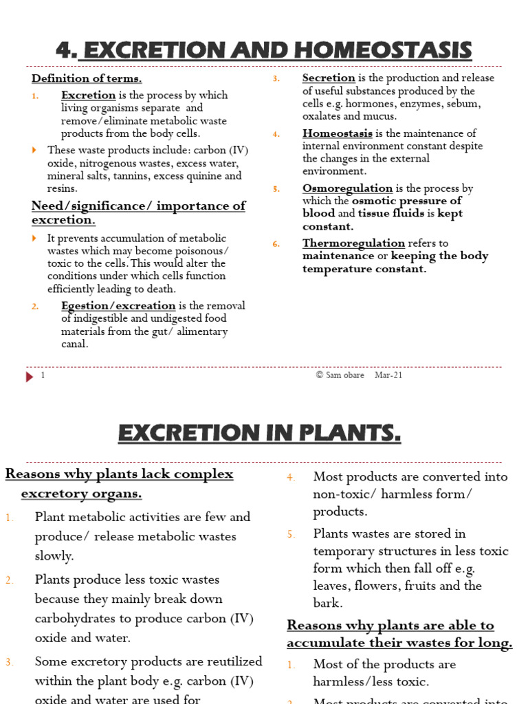 Excretion and Homeostasis Guide | PDF | Kidney