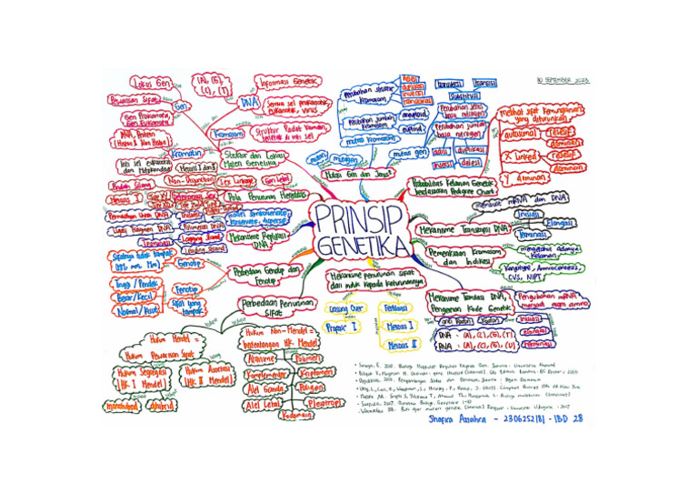 Mind Map Prinsip Genetika | PDF