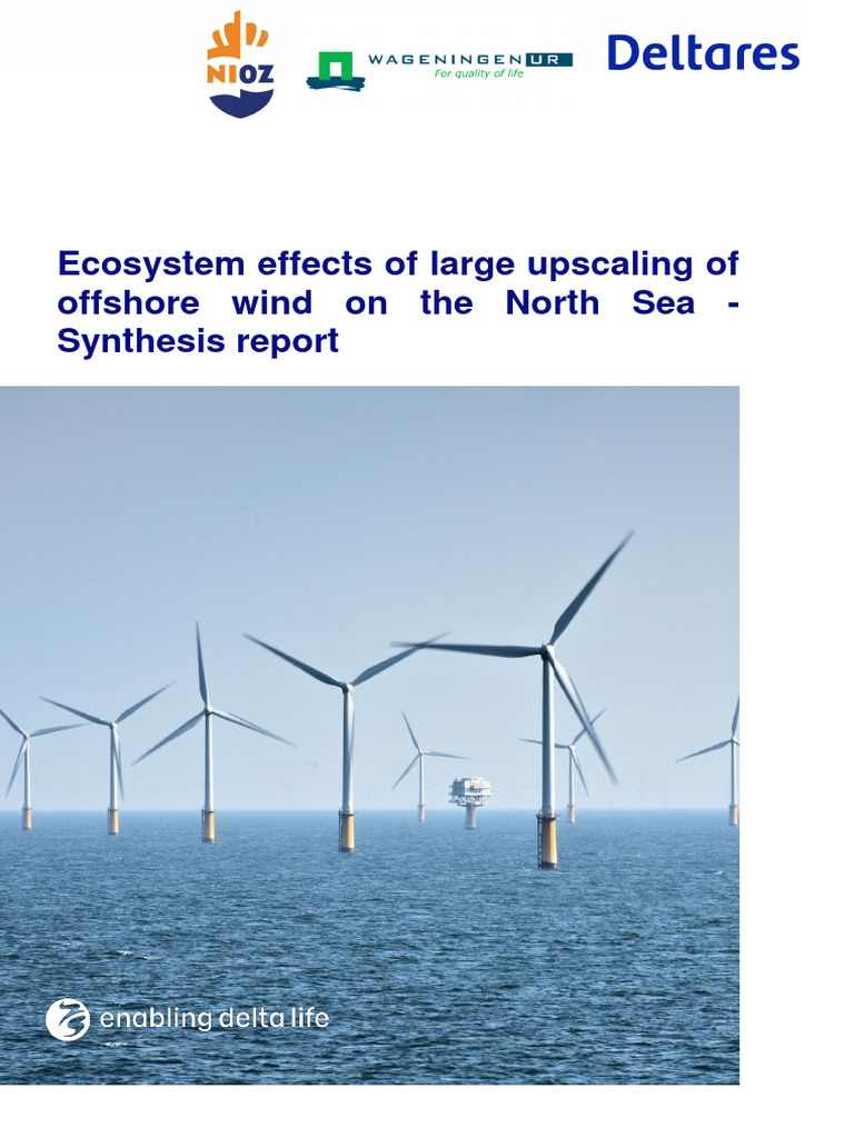 Offshore Wind Ecosystem Impact Study | PDF | Wound | Food Web