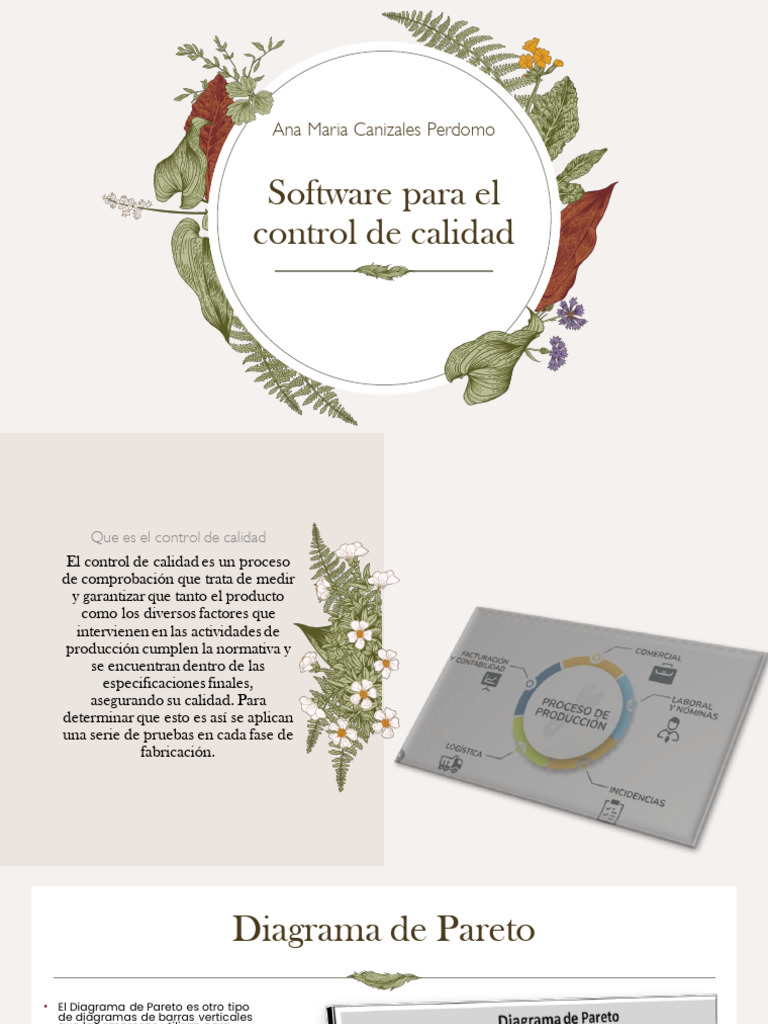 Software de Calidad | PDF | Software | Calidad (comercial)