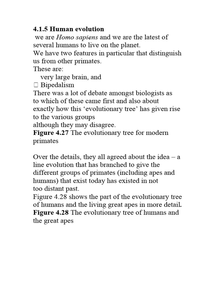Unit 4 Part 3 | PDF | Lucy (Australopithecus) | Human Evolution