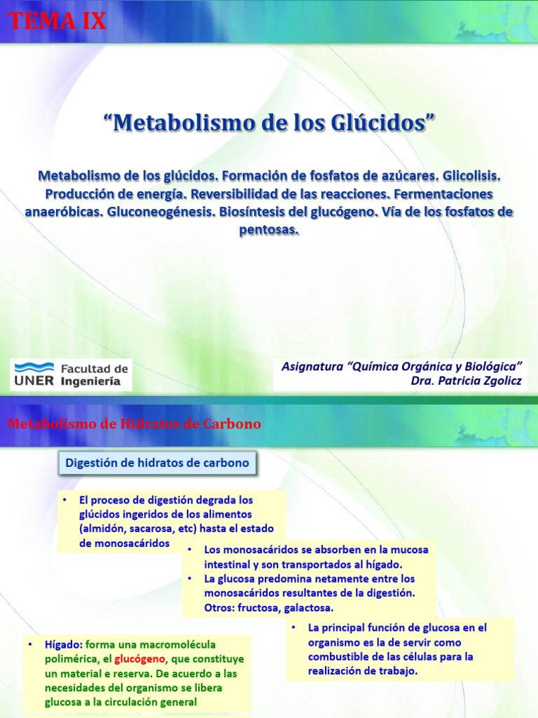 11 Tema 11 QcaOrgyBiol. - FI-FUNER-2C-2020 Glicolisis | PDF | Digestión ...