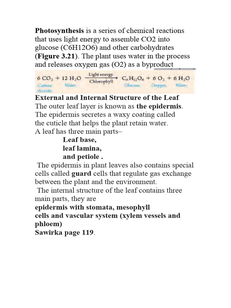 Photosynthesis Is A Series of Chemical Reactions T | PDF ...
