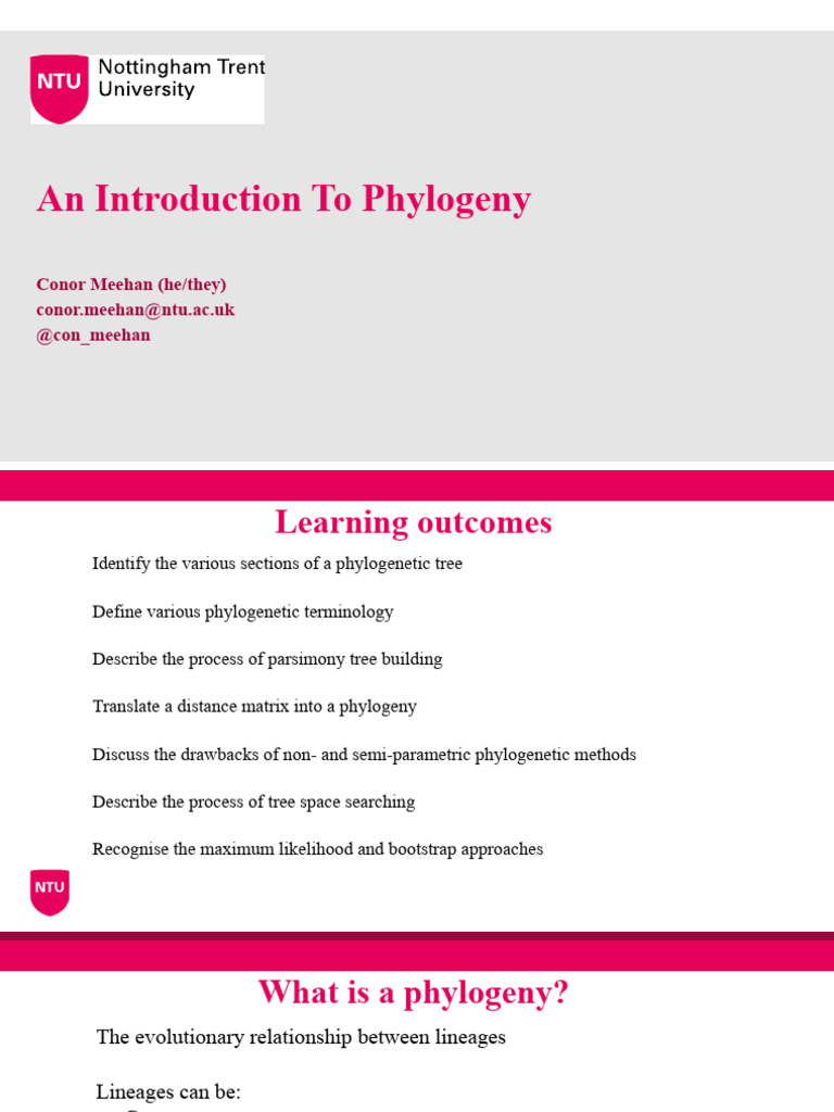 Intro To Phyl o Genetics | PDF | Phylogenetic Tree | Molecular ...
