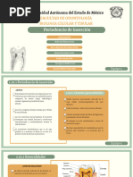 Tipos de Cemento Radicular: Acelular y Celular | PDF | Ramas de ...