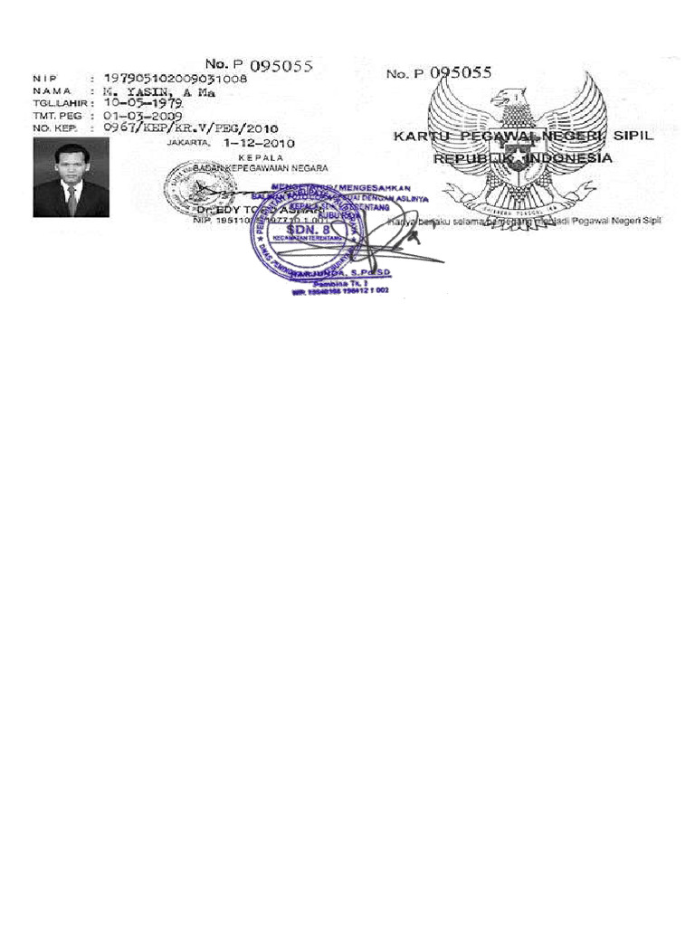 Karpeg 197905102009031008 | PDF