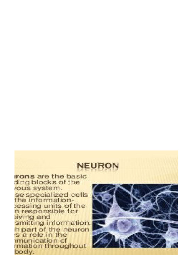 Presentation-WPS Office Neurons | PDF