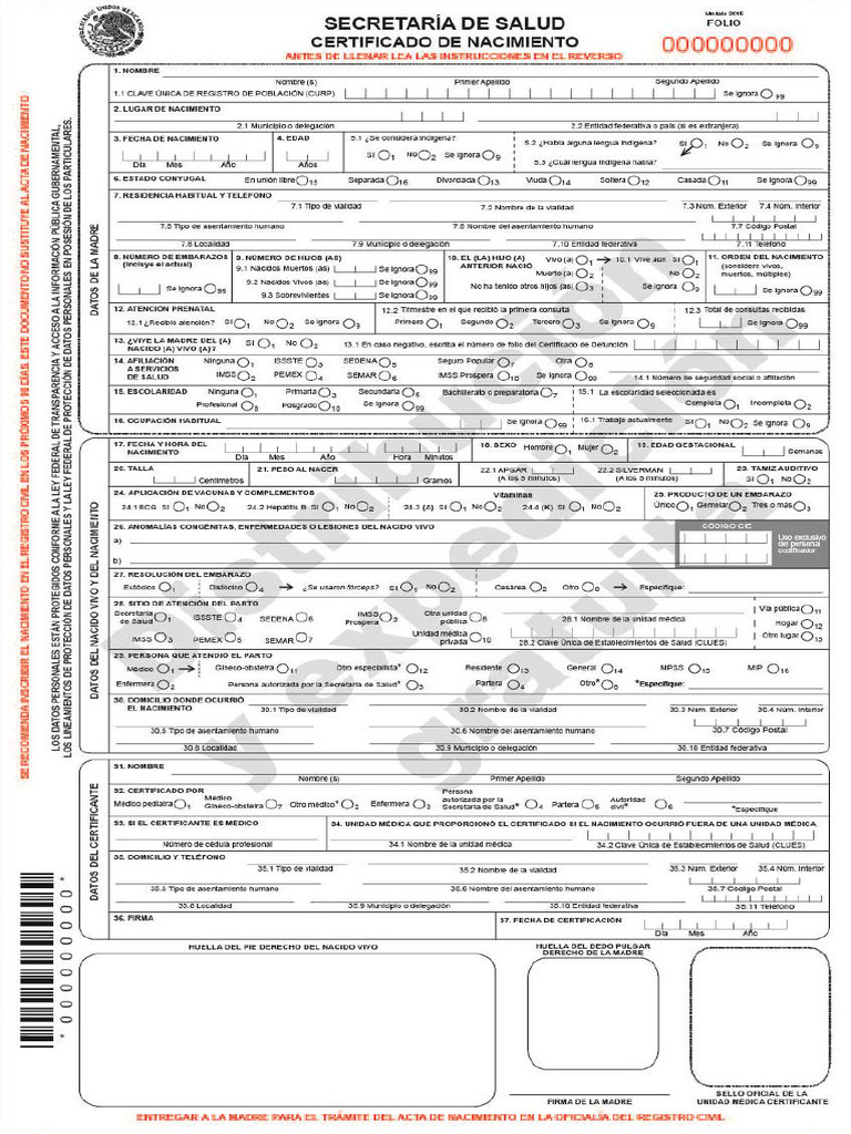 Hoja de Alumbramiento | PDF