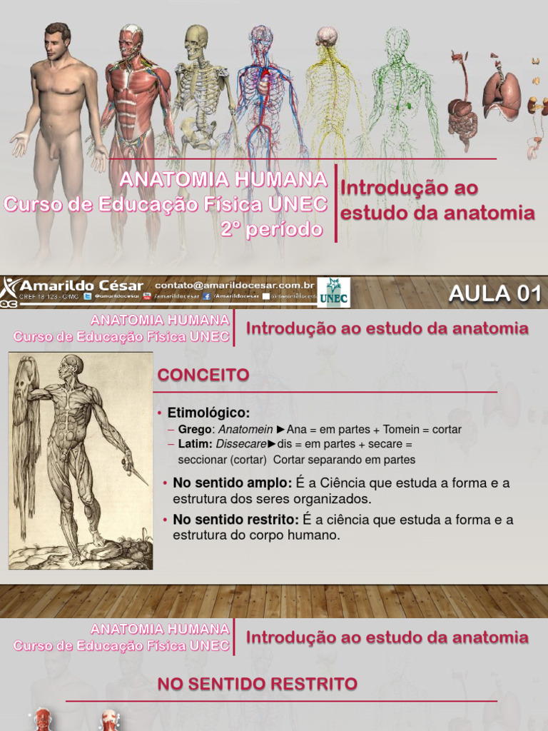 Aula 01 Introdução A Anatomia Pdf Anatomia Corpo Humano