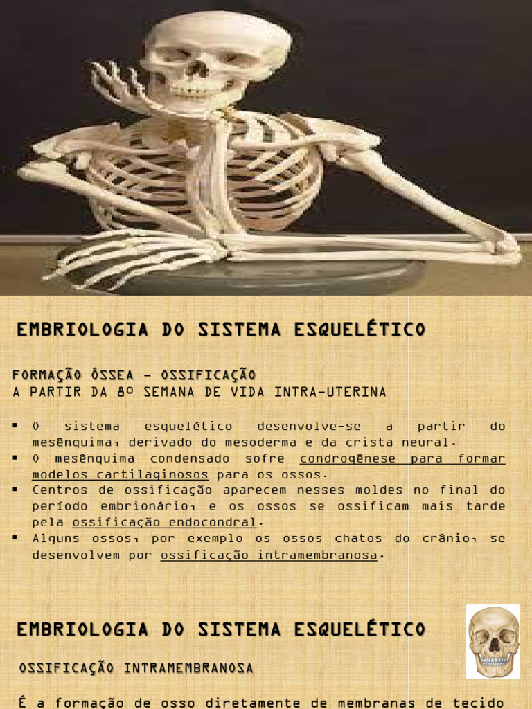 Osteologia | PDF | Osso | Esqueleto