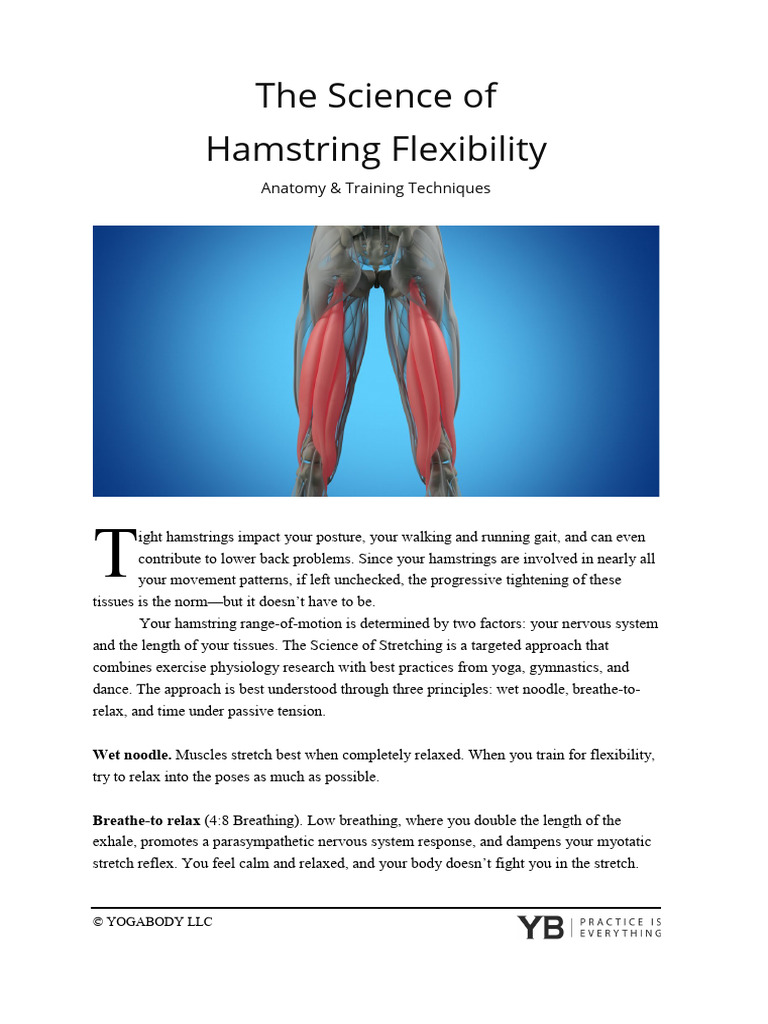 Hamstring Flexibility | PDF | Flexibility (Anatomy) | Exhalation
