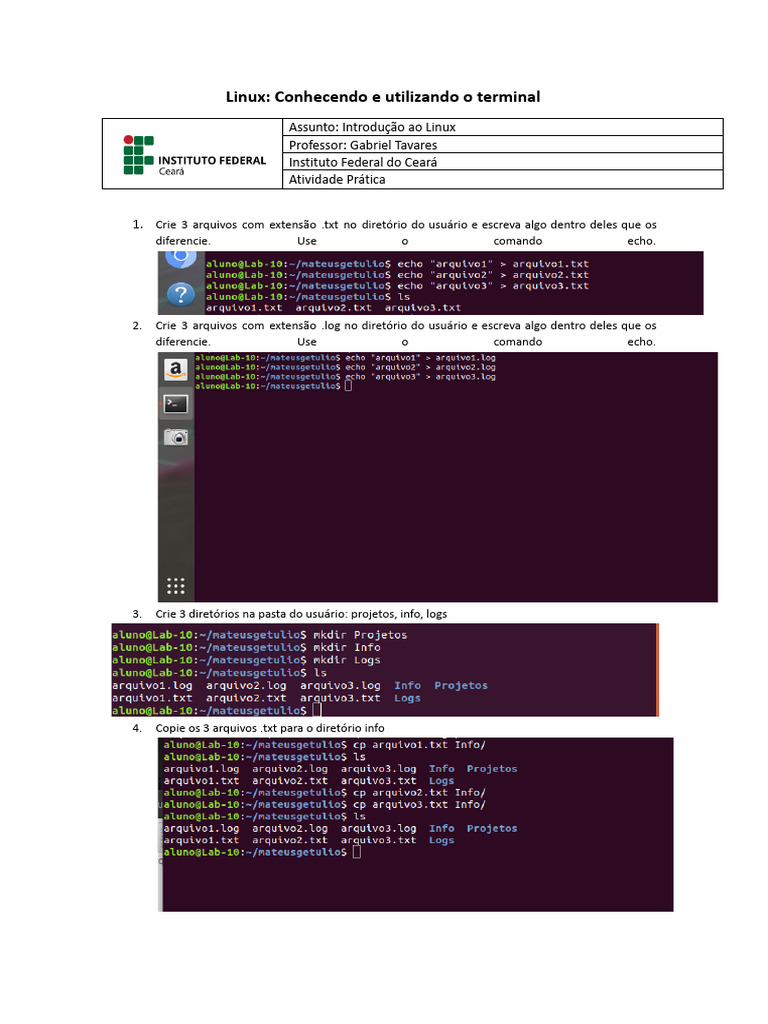 Prática Comandos Básicos | PDF