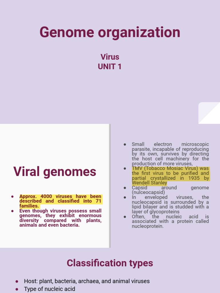 Understanding Viral Genome Organization | PDF | Virus | Sense ...