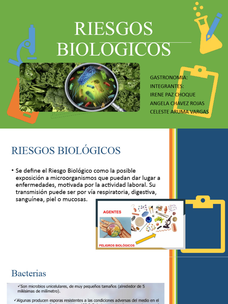 Riesgos Biologicos | PDF | Salud y bienestar