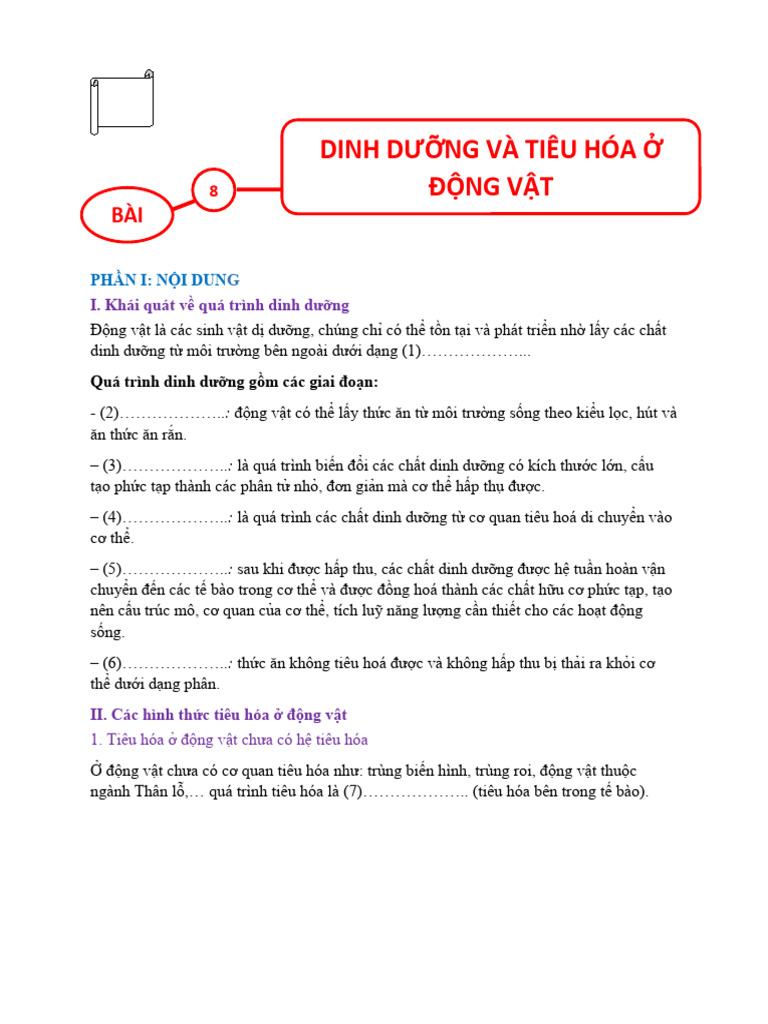 Bai 8 - Dinh Duong Va Tieu Hoa o Ong Vat - HS | PDF