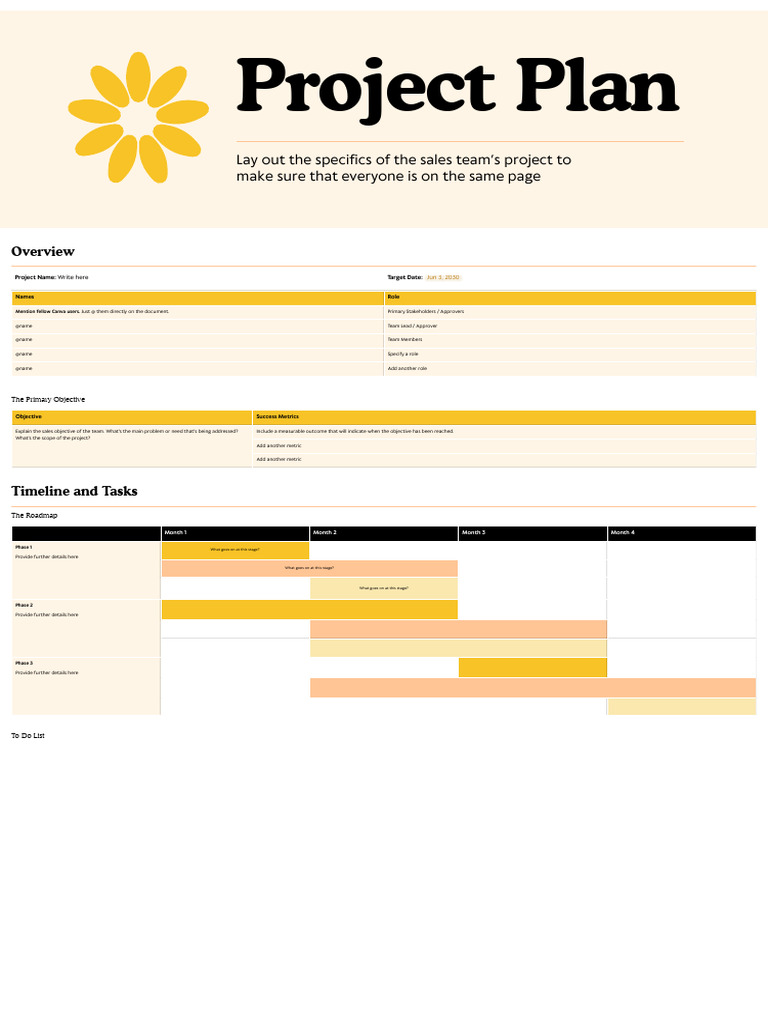 Sales Team Project Plan Overview | PDF | Computing | Information Technology