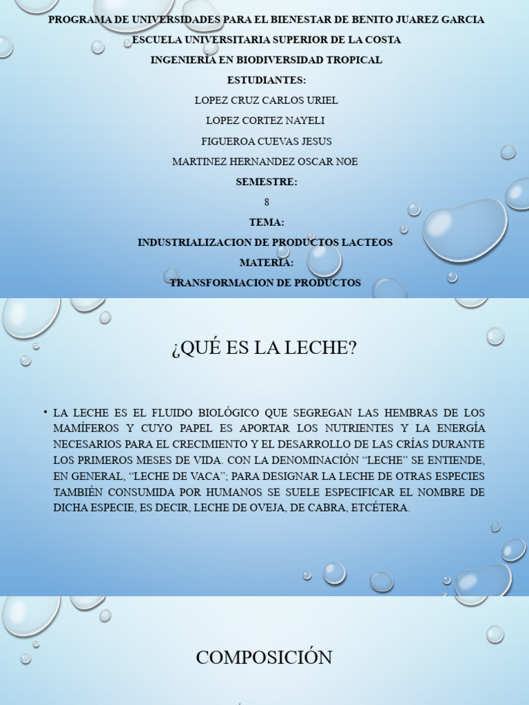 Expo Leche | PDF | Leche | Queso