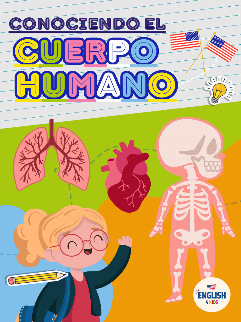 Conociendo El Cuerpo Humano en Inglés | PDF | Morfología (biología ...