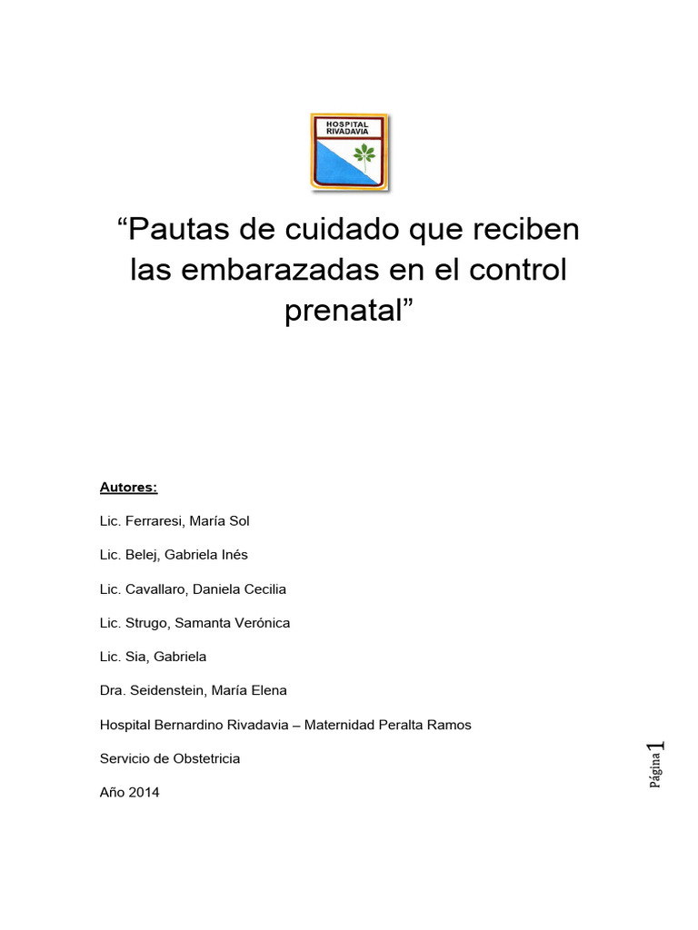 Protocolo Pautas de Cuidado Que Reciben Las Embarazadas en El Control ...