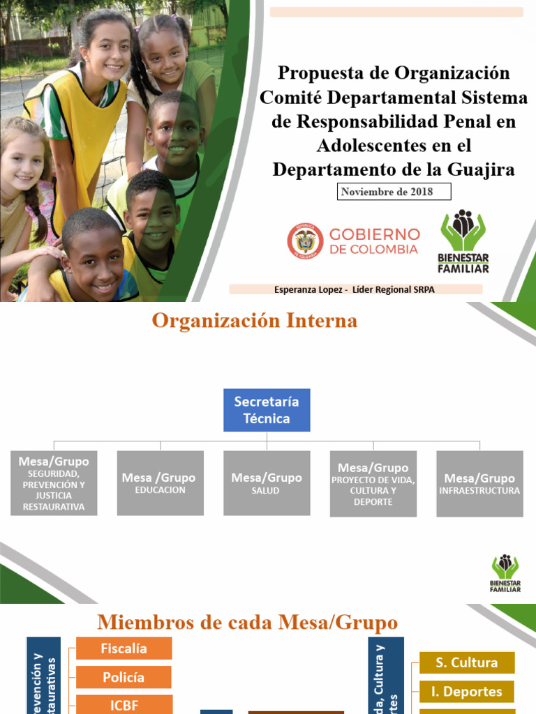 Presentacion Cmite Dptal Srpa | PDF | Crímenes | Crimen y violencia