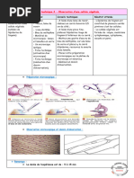 Cours 2-La Paroi Pectocellulosique PDF | PDF | Paroi cellulaire | Lignine