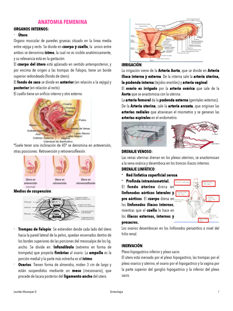 Anatomia y Fisiología | PDF | Útero | Ovario