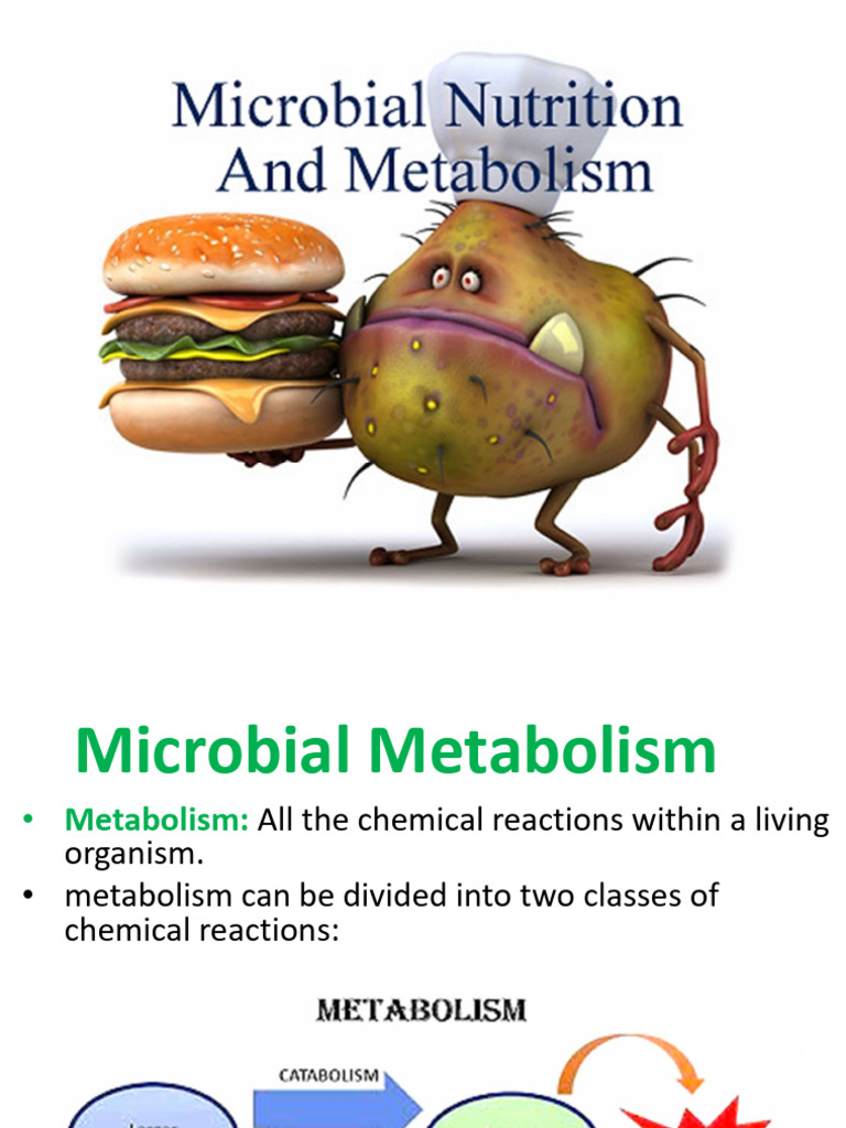 Microbiology Lec 1 | PDF | Metabolism | Metabolic Pathway