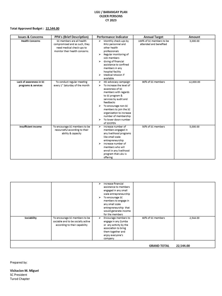 Barangay Plan | PDF | Health Care | Social Programs
