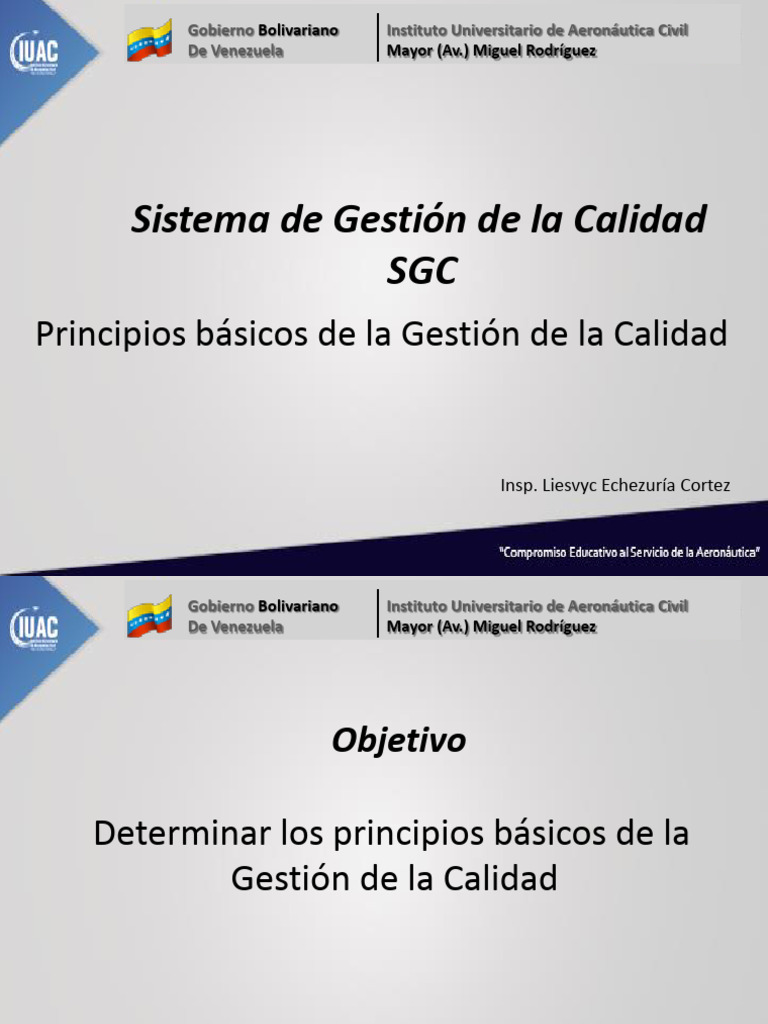 Principios Básicos de La Gestión de La Calidad | PDF | Gestión de la ...