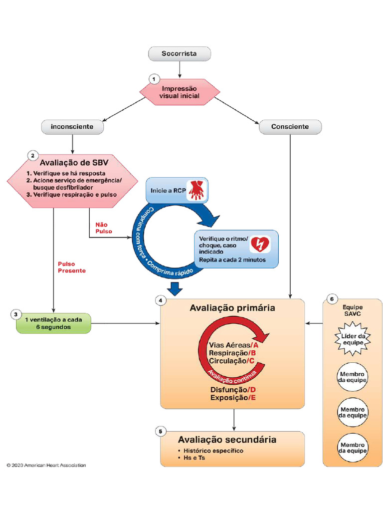 Algoritmos Acls Novo | PDF