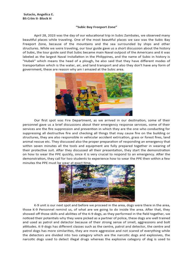 Narrative Report | PDF | Police Dog | Dogs