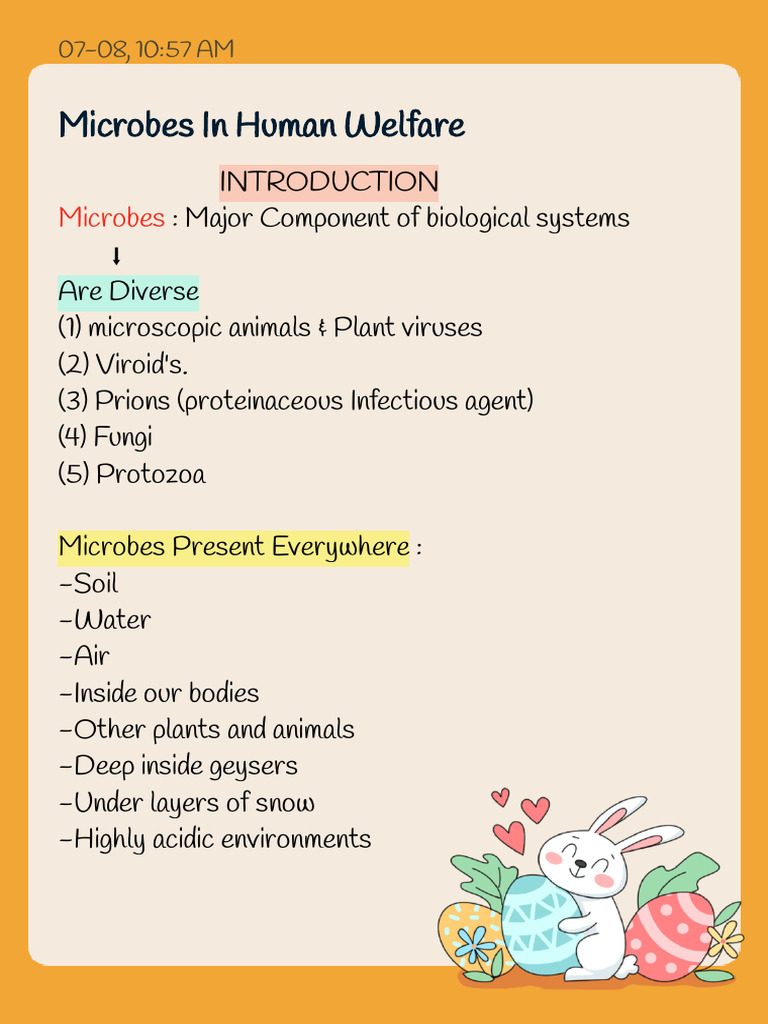 Microbes in Human Welfare Notes by Andleaf | Download Free PDF ...