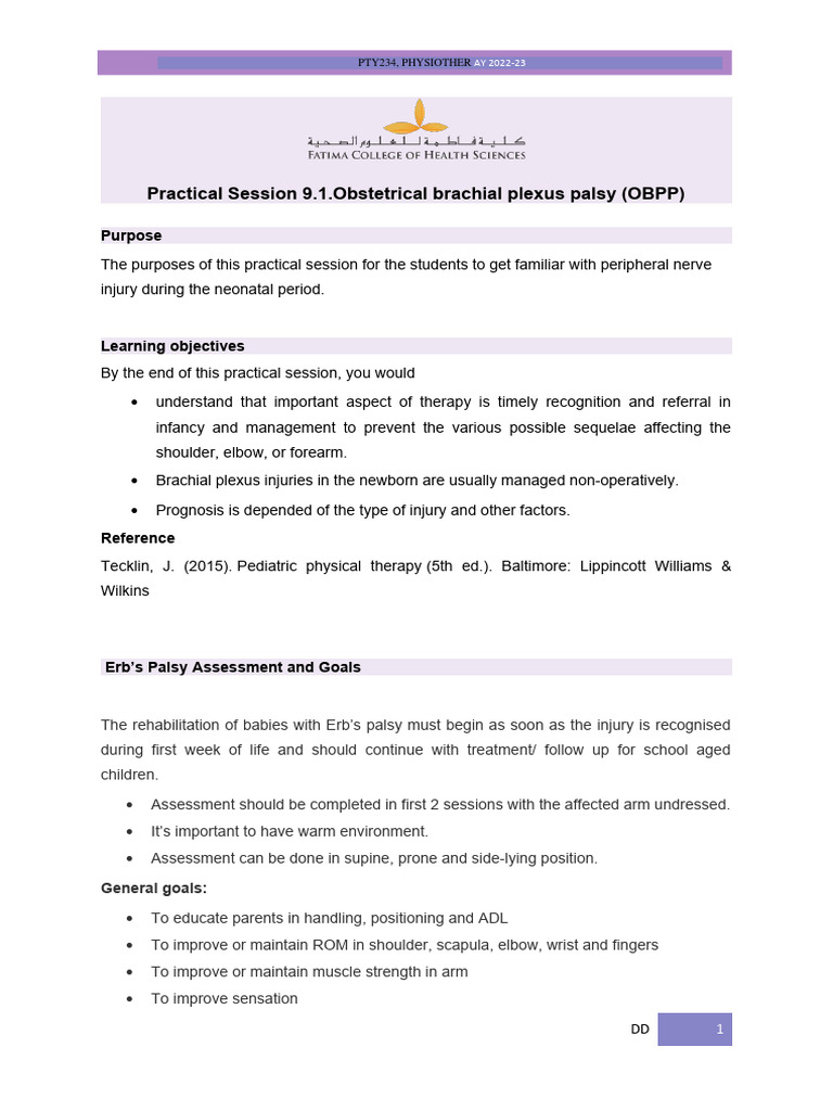 9.1. Pract. Erb Palsy Worksheet | Download Free PDF | Anatomical Terms ...