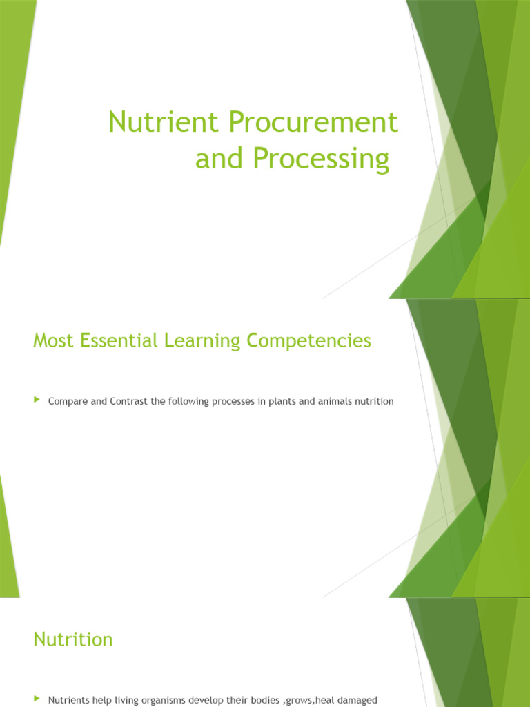 Nutrient Procurement and Processing | PDF | Digestion | Human Digestive System