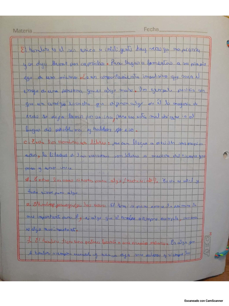 Huanca Asistiri Ana Luisa | PDF