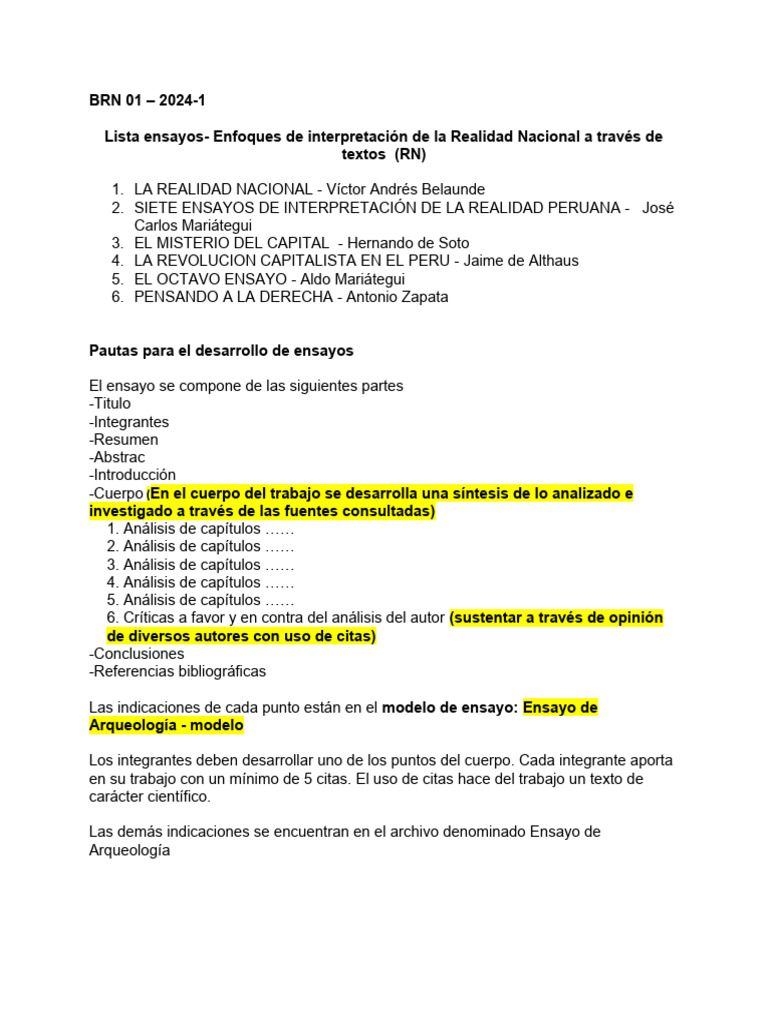 A - Pautas para Ensayo 1 - BRN 01 - 2024 | PDF | Ensayos