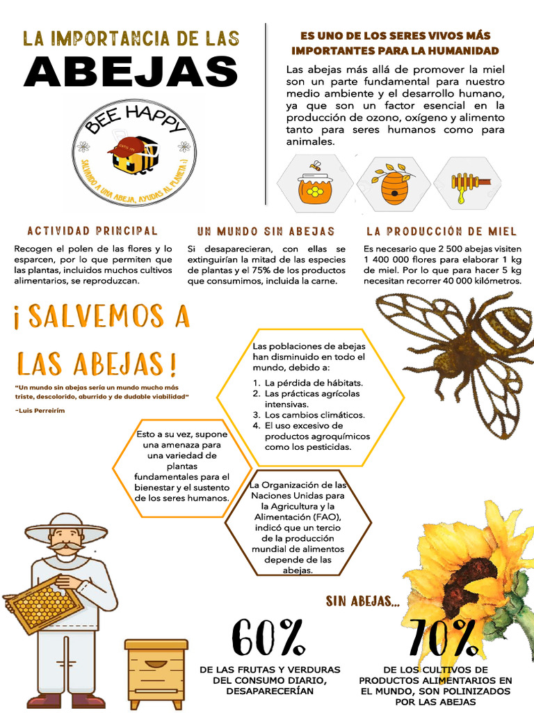 Cartel Informativo - Abejas | PDF | Abejas | Agricultura