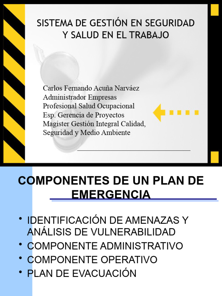 Sgsst Can 3 Pdf Auditoría