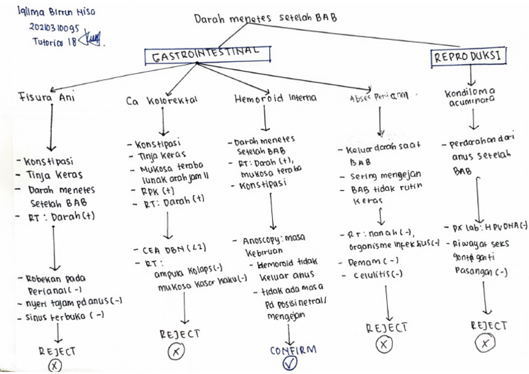 Iqlima Birrun Nisa - 20210310095 - Tugas Tutorial Skenario 3 Blok 13 | PDF