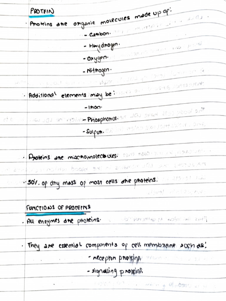 Notes Proteins Pdf Biophysics Natural Products